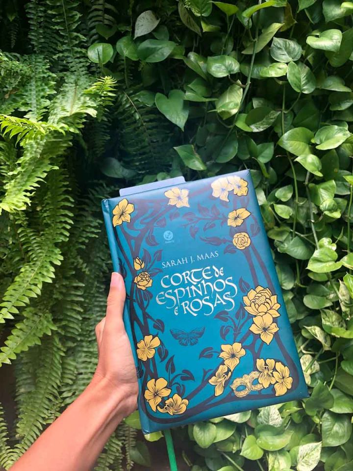 Corte de Espinhos e Rosas: Sinopse completa de ACOTAR (simbologia ...