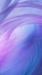 Papéis de Parede Para Celular Roxo (escuro, claro, pastel e feminino ...